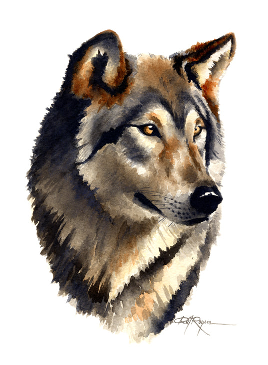 Wolf Portrait II – djrogersart.com